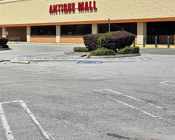 The unassuming exterior hides a universe of treasures within &ndash; like finding Narnia in a strip mall setting.