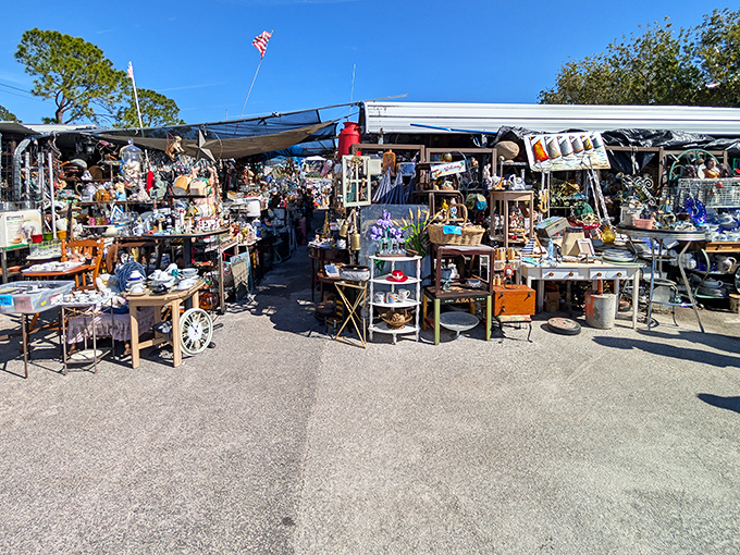 Treasure hunting paradise where vintage finds and quirky collectibles stretch as far as the eye can see. Every aisle promises new discoveries!