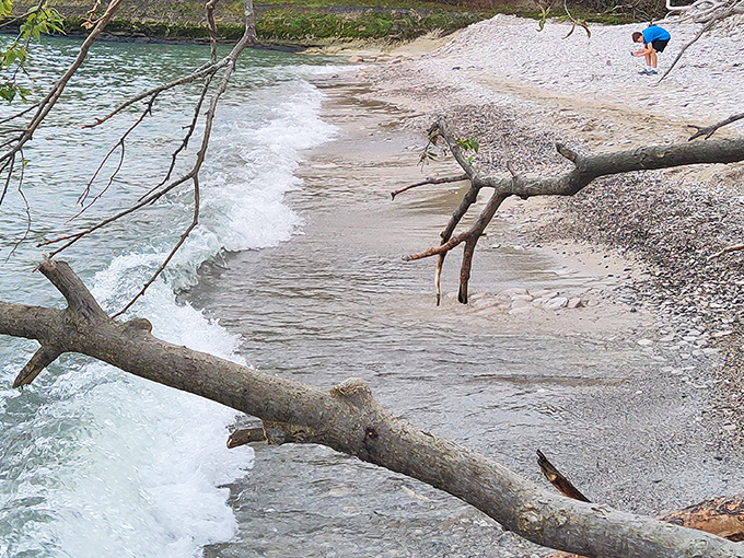 Nature's own sculpture garden where driftwood meets shoreline. This isn't just beach therapy&mdash;it's a masterclass in Great Lakes artistry.