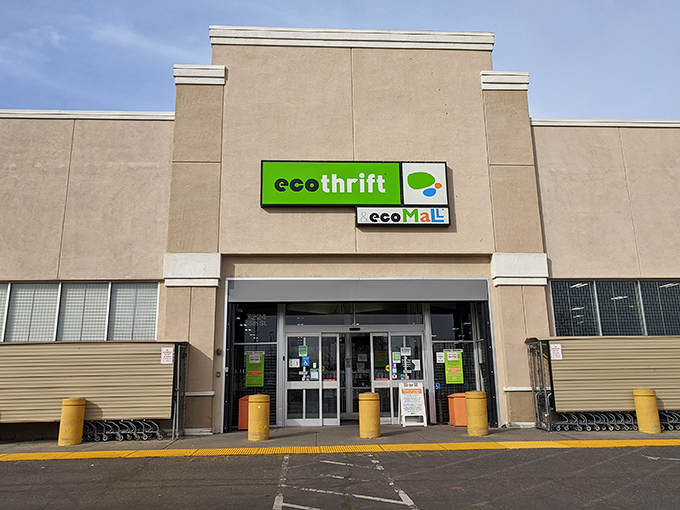 The unmistakable green signage of Eco Thrift beckons bargain hunters like a beacon of hope in a sea of retail conformity.