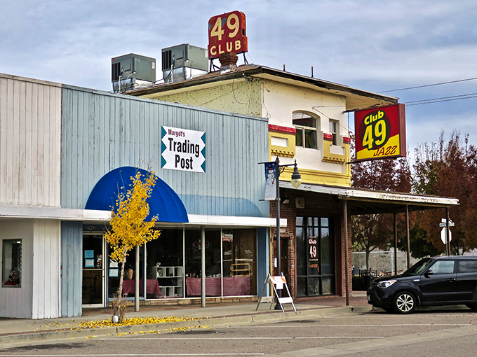Ferry's Pharmacy stands as a charming throwback to when pharmacists knew your name and probably your grandmother's favorite candy too.