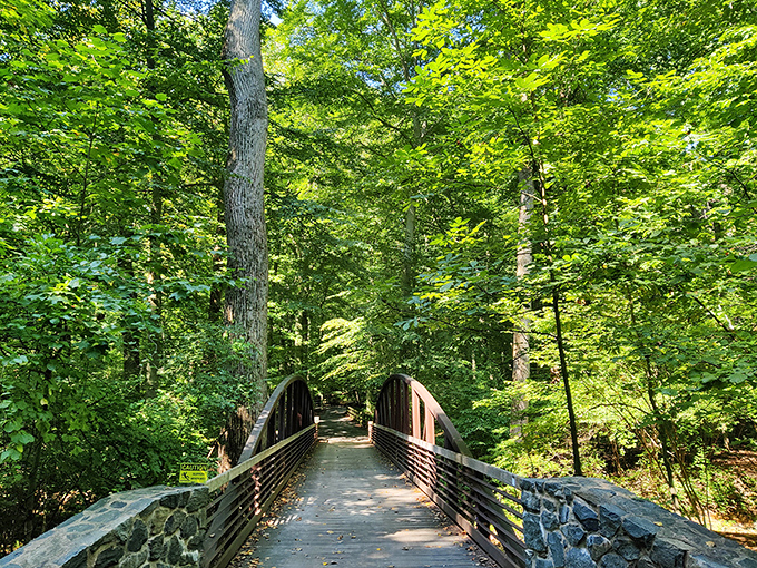 This rustic wooden bridge invites you to cross into a world where deadlines and emails cease to exist. Your adventure awaits on the other side.