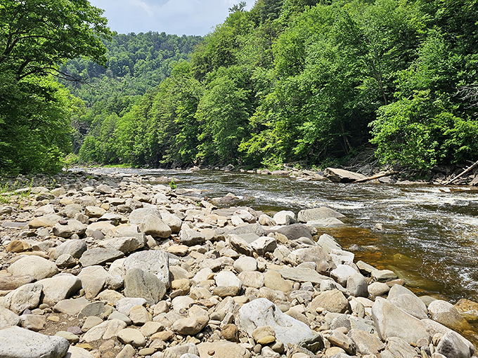 Nature's grand design on full display: Loyalsock Creek carves its ancient path through the valley, creating a rocky playground where water meets wilderness. 