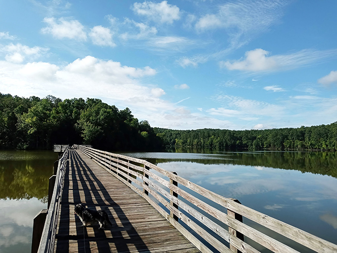 The path less traveled. This wooden boardwalk stretches across calm waters, inviting visitors to pause midway and absorb the serenity of South Carolina's hidden gem.