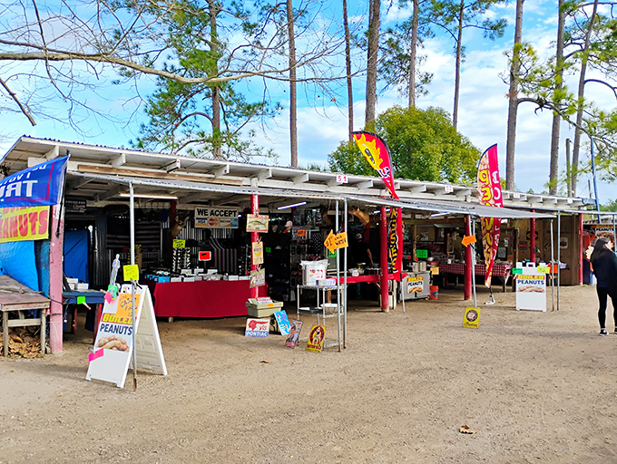 The iconic red and white sign beckons treasure hunters like a lighthouse for bargain-seeking ships. Florida's ultimate weekend adventure awaits!