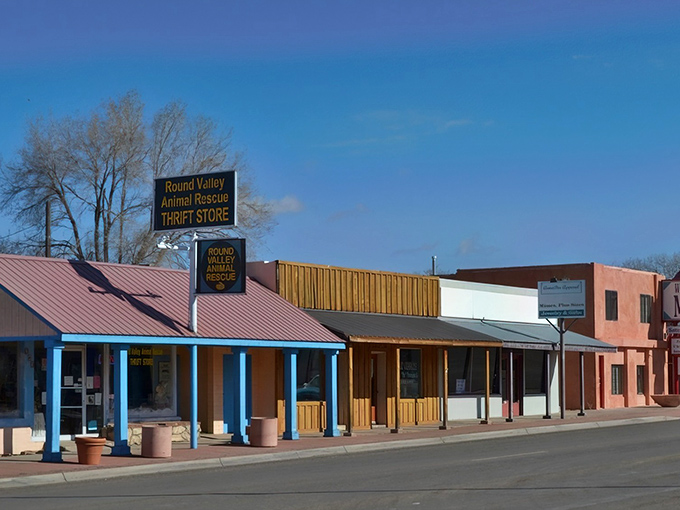 Colorful storefronts line Springerville's main drag, where the Round Valley Animal Rescue Thrift Store proves small towns have big hearts.