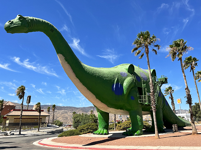 The mighty T-Rex stands sentinel along Interstate 10, greeting travelers with a toothy grin that says, "Welcome to the Jurassic detour you never knew you needed."