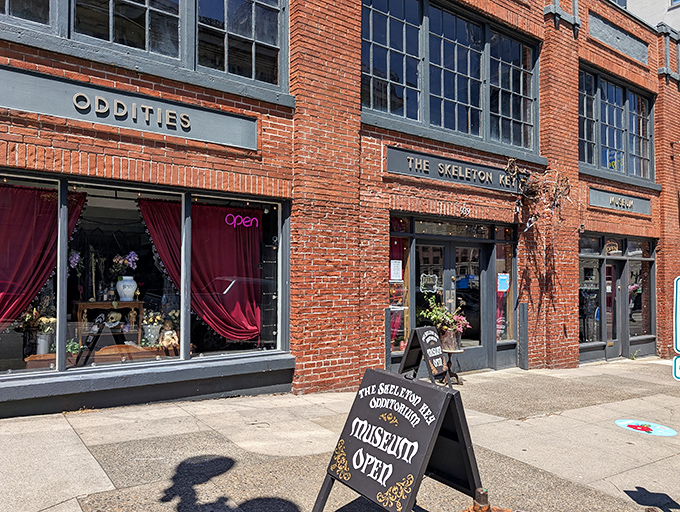 The brick facade of The Skeleton Key Odditorium beckons curious passersby with its vintage charm and crimson curtains, promising wonders that defy ordinary museum experiences.