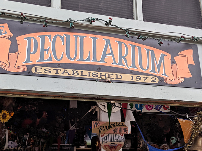 The neon-green door of the Peculiarium beckons like a portal to another dimension. Portland weird at its finest!