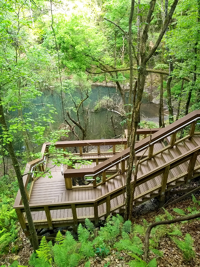 The wooden boardwalk zigzags into the emerald depths like nature's own stairway to heaven&mdash;except you're descending into Earth's mysterious belly instead.