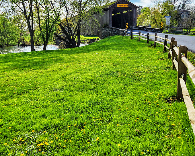 Spring transforms the bridge approach into nature's own welcome mat, complete with emerald grass that would make any golf course jealous.