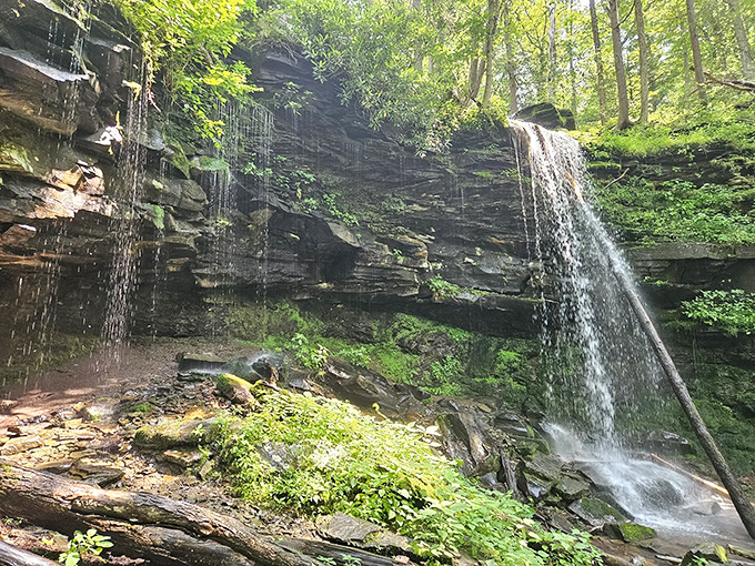 Jacoby Falls cascades down ancient rock faces like nature's own masterpiece, creating a mesmerizing display that's worth every step of the journey.