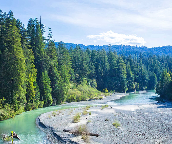 The Van Duzen River carves its emerald path through towering redwoods, creating a scene so pristine it feels like stepping into a living postcard of wild California.