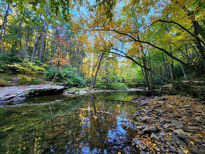 Autumn's golden touch transforms Trough Creek into a mirror of tranquility, where nature's reflection doubles the beauty without doubling the crowds.