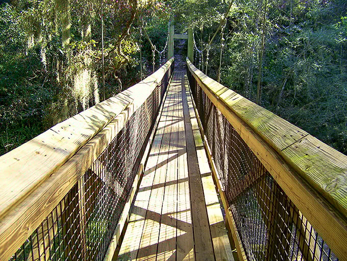 The suspension bridge beckons you into a world that feels more Pacific Northwest than Florida. Nature's invitation to adventure awaits.