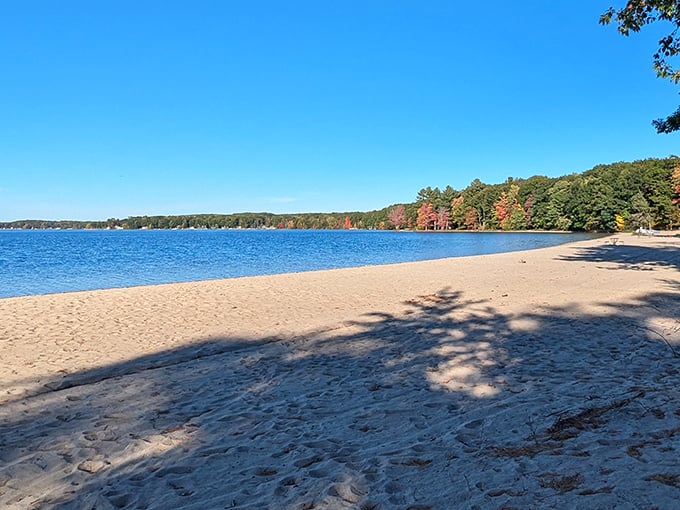 Crystal clear waters meet golden sands at Otsego Lake, where Michigan's version of the Caribbean awaits without the passport hassle.