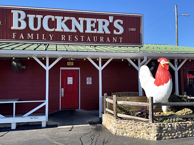 The red barn exterior with its giant rooster sentinel isn't just a restaurant—it's a Southern food embassy where calories don't count and diet plans go to die.