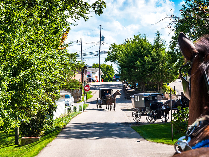 Where horse-drawn buggies have the right of way and time slows to the rhythm of hoofbeats. A glimpse of Berlin's everyday traffic pattern.