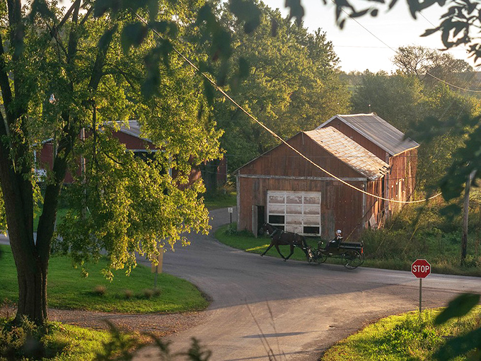 Where time slows down and horsepower takes on its original meaning. A perfect snapshot of everyday Amish transportation against the backdrop of small-town America.
