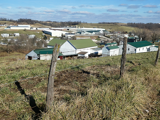 Rolling hills and white farmhouses dot the landscape of Charm, where the only traffic jams involve horse-drawn buggies waiting patiently for one another.