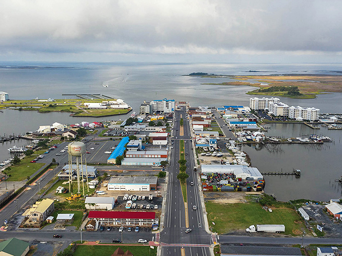 The road ends where the horizon begins, a reminder that sometimes the best dessert is salt air and freedom.