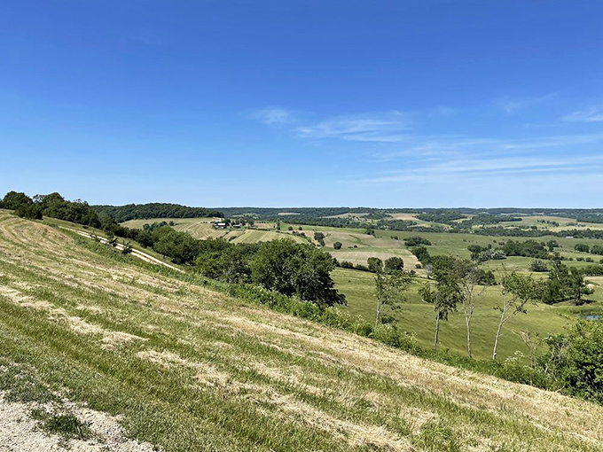 Rolling hills that laugh in the face of "flat Illinois" stereotypes. This panoramic view stretches to the horizon, proving our prairie state has some impressive topographical swagger.