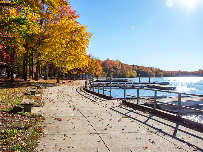 Morning magic at Lums Pond, where the water mirrors autumn's golden performance. Nature's own IMAX experience, no ticket required.
