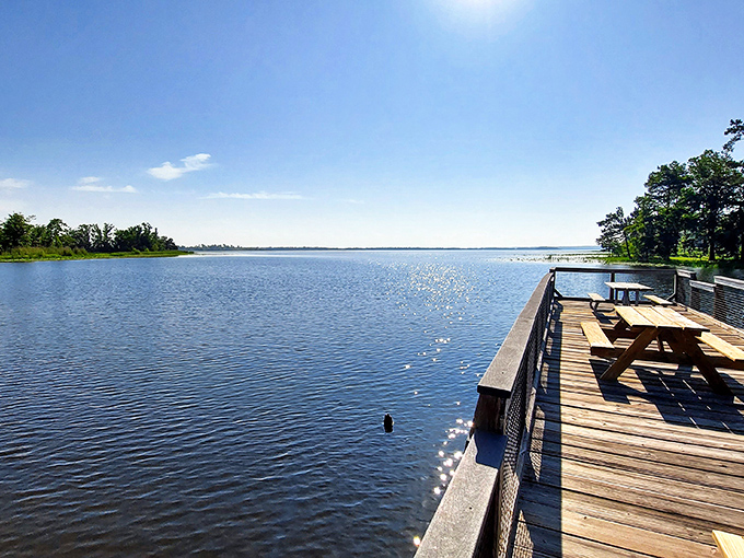 Lake Seminole stretches out like nature's infinity pool, where the horizon meets water in a display that makes smartphone wallpapers jealous.