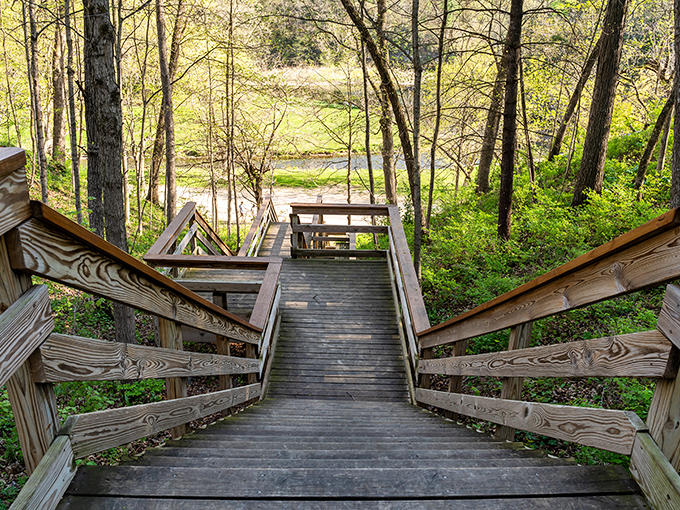 Wooden steps descend into nature's embrace, inviting you to leave the digital world behind and reconnect with something real.