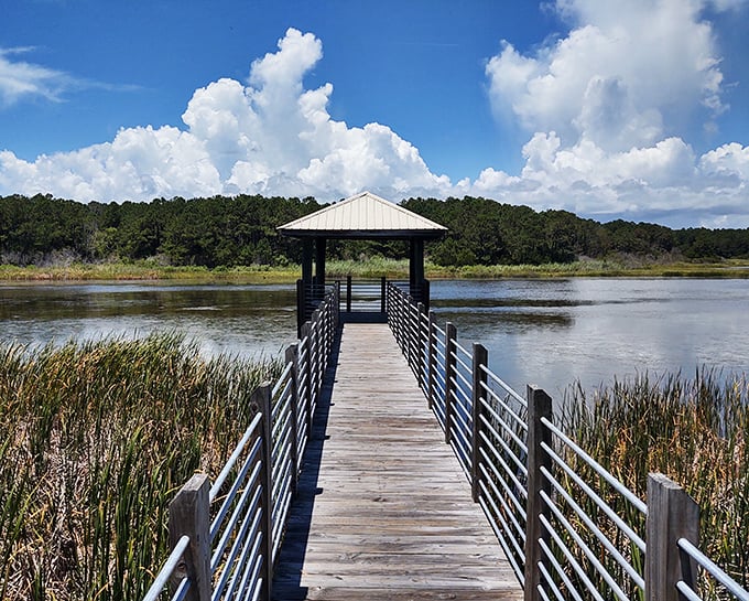 Nature's welcome mat unfurls before you &ndash; a tree-lined pathway inviting exploration into South Carolina's best-kept coastal secret.