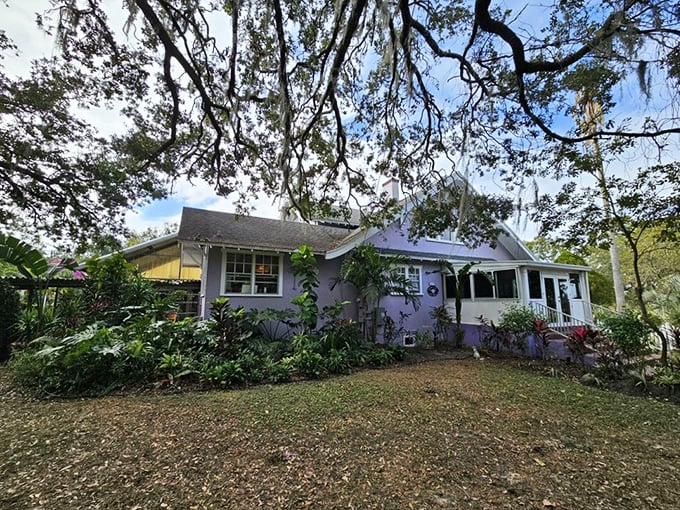 The same lavender cottage from another angle, proving that yes, this magical place actually exists in central Florida.