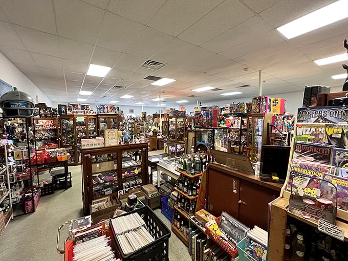 A treasure hunter's paradise where time stands still &ndash; display cases filled with memories waiting to be rediscovered and stories waiting to be retold.