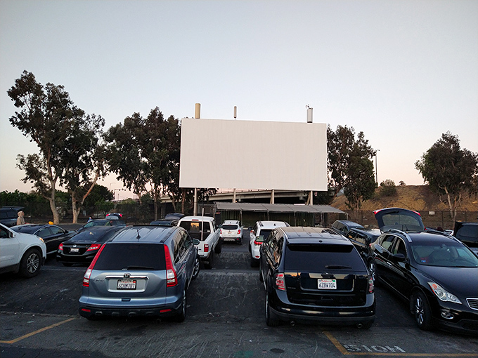 Cars line up in neat rows facing the massive white screen, where cinematic dreams will soon illuminate the twilight sky of San Jose.