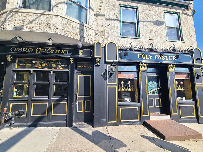 The black and gold fa&ccedil;ade of The Ugly Oyster beckons like an old friend who's terrible at hiding Christmas presents&mdash;impossible to miss and full of delightful surprises inside.