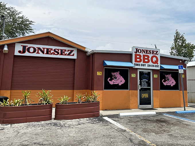 The vibrant orange and burgundy exterior of Jonesez BBQ stands out like a beacon for hungry travelers, complete with those cheeky pink pig mascots.