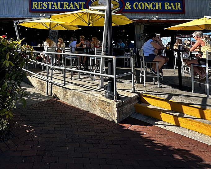 Yellow umbrellas beckon like tropical butterflies at Conch Republic's outdoor seating area, where harbor breezes complement every bite of seafood perfection.