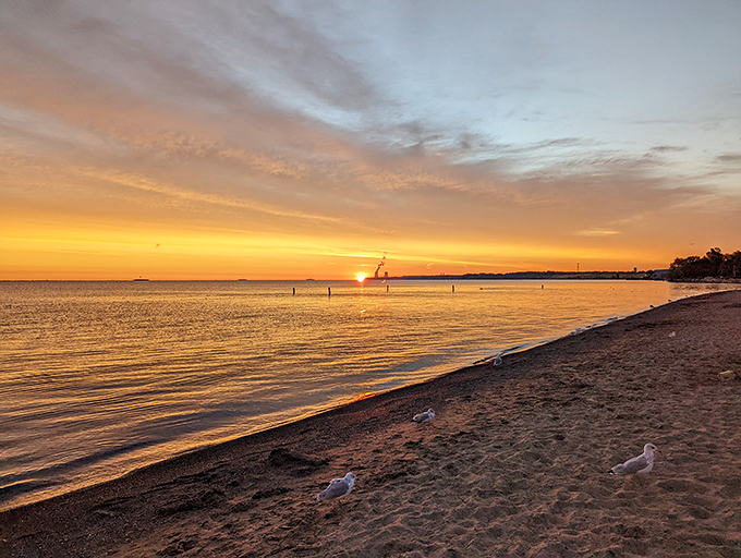 Where Lake Erie meets golden sand, Fairport Harbor Lakefront Park offers a slice of coastal paradise that feels delightfully out of place in Ohio.