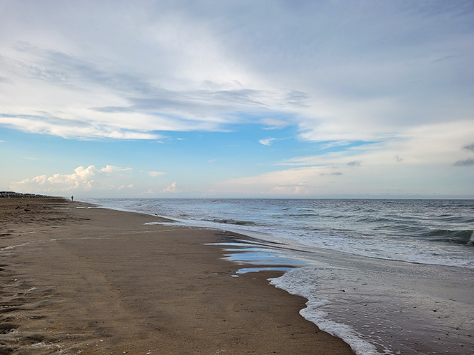 The morning light bathes Little Island's shoreline in a golden glow, creating that rare moment when time seems to stand perfectly still.