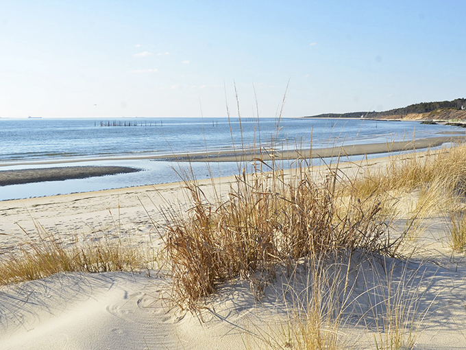 Nature&rsquo;s own soft carpet at Kiptopeke. The kind of fine sand that makes you forget your phone password while sinking your toes into every step.