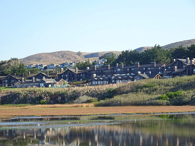Coastal living at its finest! These hillside homes offer the kind of views that make you wonder why you're still paying city rent.
