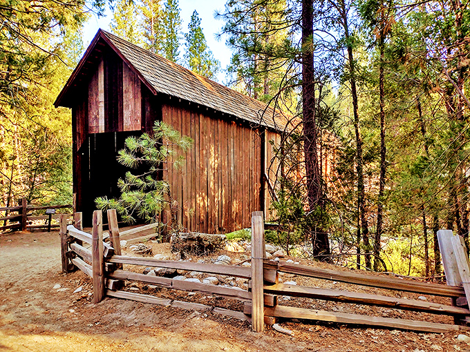 This wooden beauty stands like a rustic cathedral among the pines, waiting to share its stories.