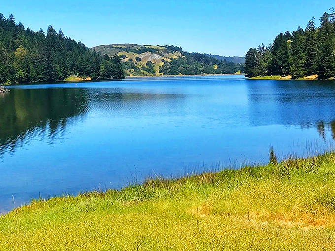 Alpine Lake's mirror-like surface reflects the golden hills and evergreens, creating nature's perfect infinity pool just minutes from San Francisco's hustle.