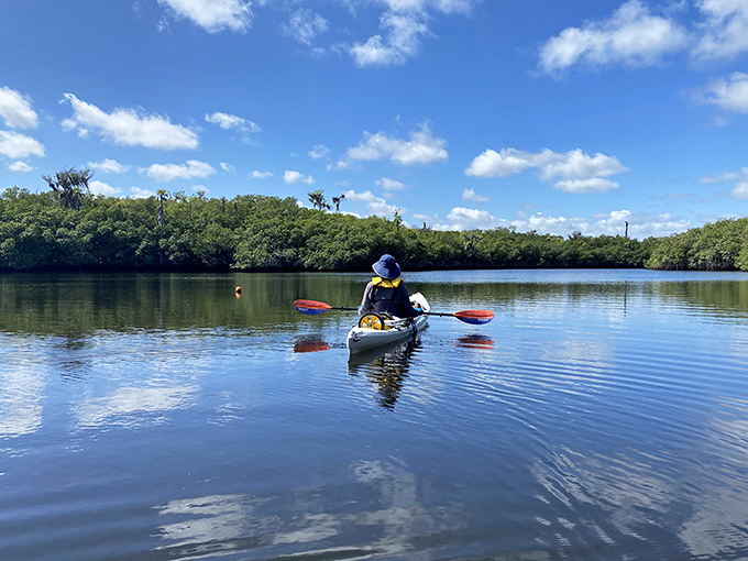 Gliding through calm waters under a brilliant blue sky, this serene kayaking trail offers a peaceful escape into Florida’s wild beauty—no crowds, no noise, just nature at its finest.