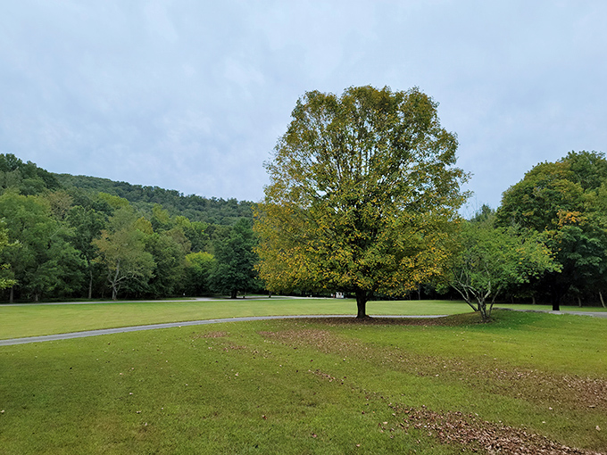 This solitary tree stands like nature's own masterpiece against the rolling hills. Maryland's version of a desktop wallpaper come to life.