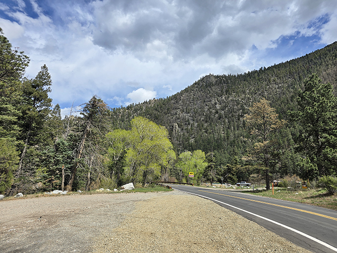 Highway to heaven? No, just the scenic byway through Cimarron Canyon, where every curve reveals another postcard-worthy vista waiting to be discovered.