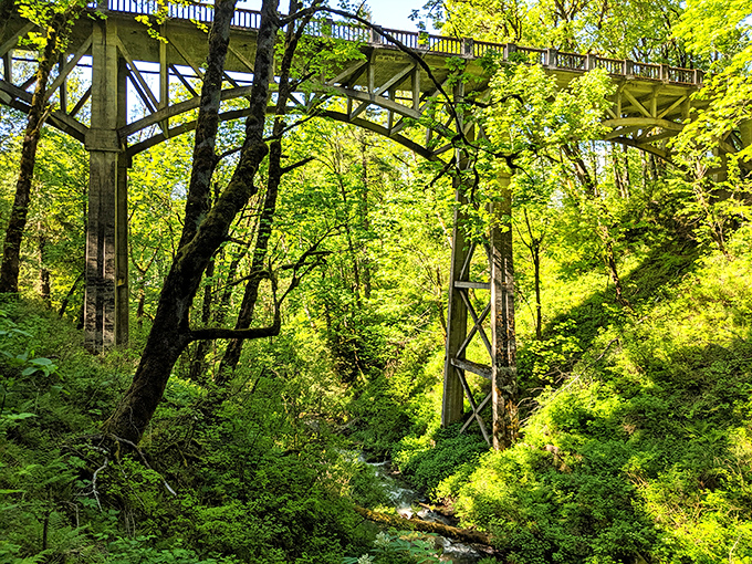 The path to natural splendor unfolds before you, with Latourell Falls standing tall like nature's own monument to tranquility. Oregon's green embrace at its finest.