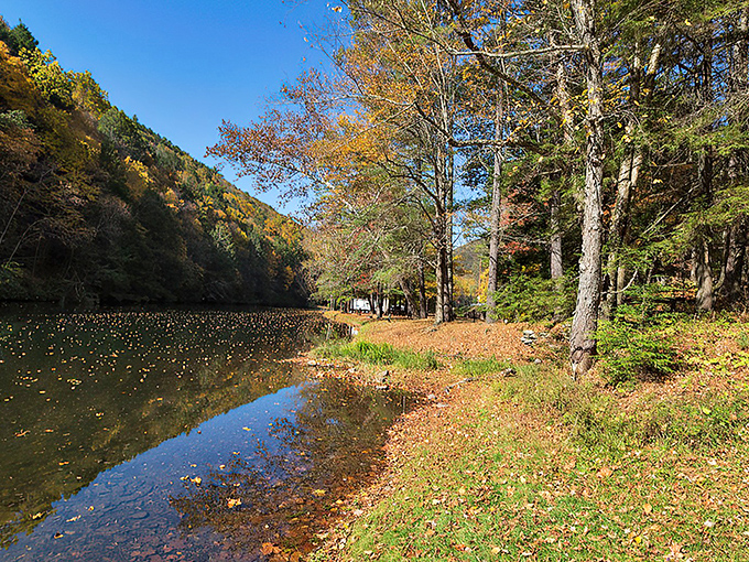 Fall's fashion show in full swing. The autumn colors reflecting in Kettle Creek's waters create a double feature of Pennsylvania's seasonal splendor.