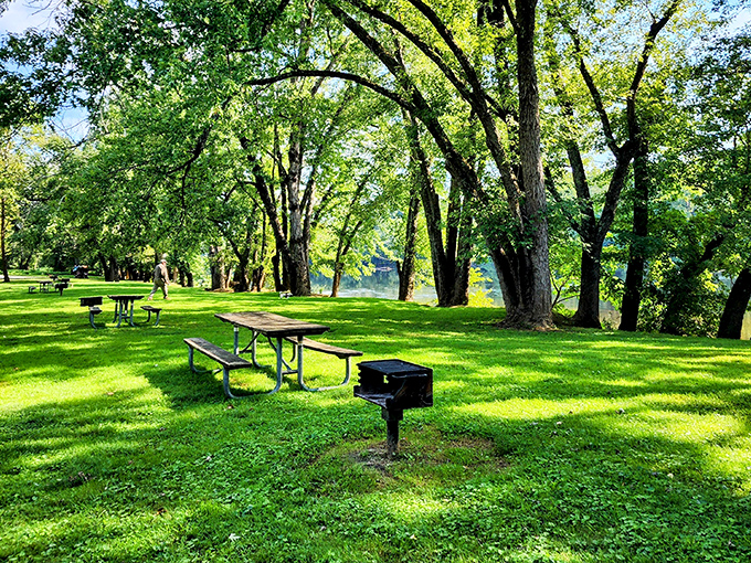 Picnic paradise awaits under a cathedral of trees. Mother Nature's dining room comes complete with dappled sunlight and river views.