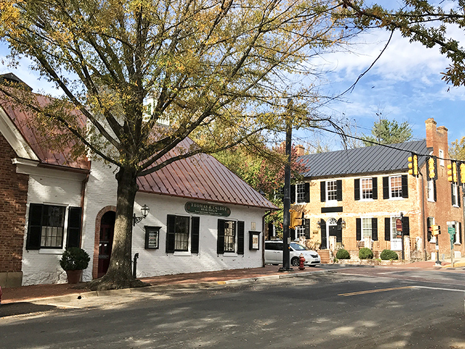 Historic charm on full display along Washington Street, where brick buildings and metal roofs have been telling stories since Thomas Jefferson was penning letters.