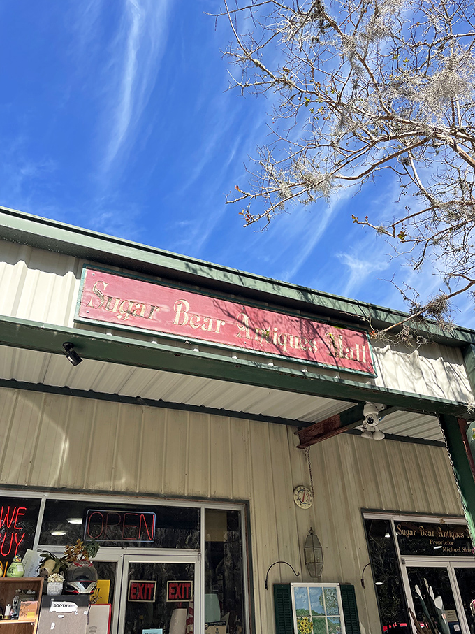 The weathered red sign against Jacksonville's blue sky promises treasures within &ndash; like finding a portal to the past hiding in plain sight.